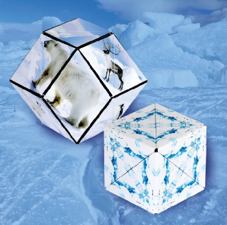 Shashibo - The Shape Shifting Box - Arctic Wild – Fun Stuff Toys