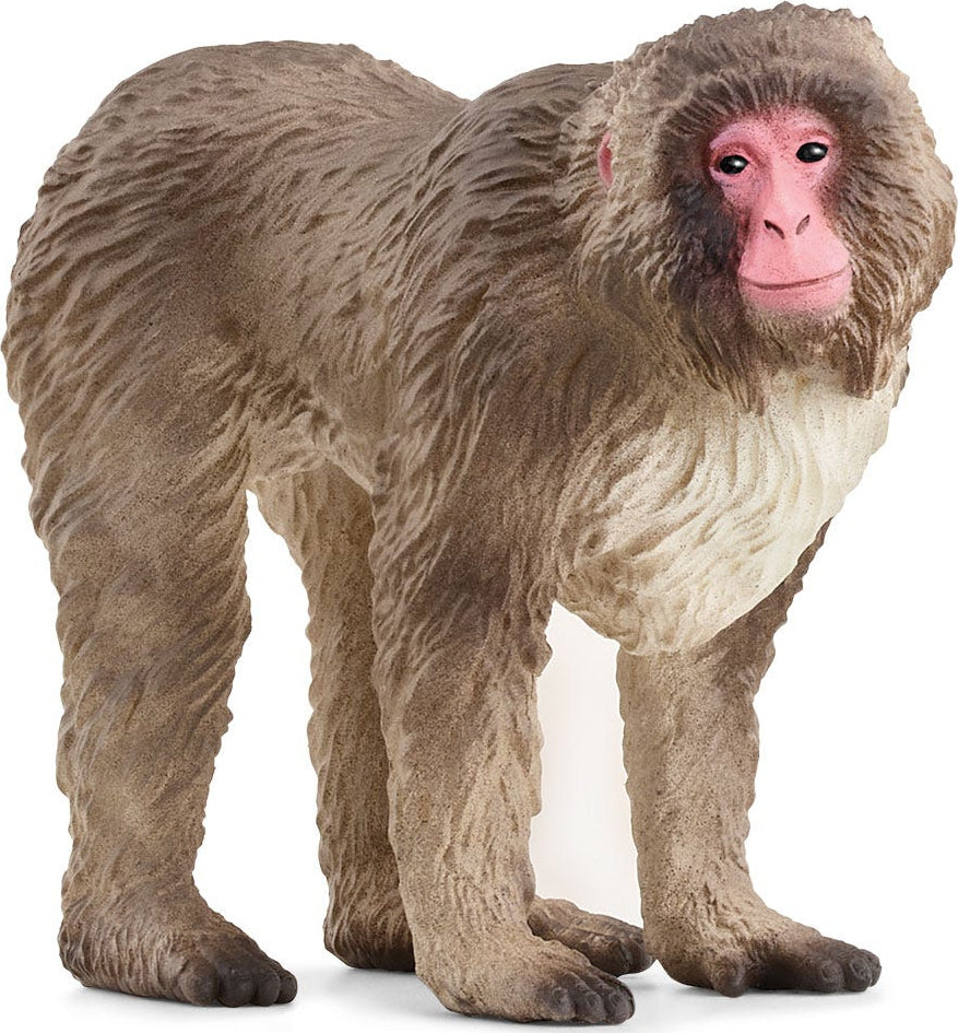 Japanese Macaque – Fun Stuff Toys
